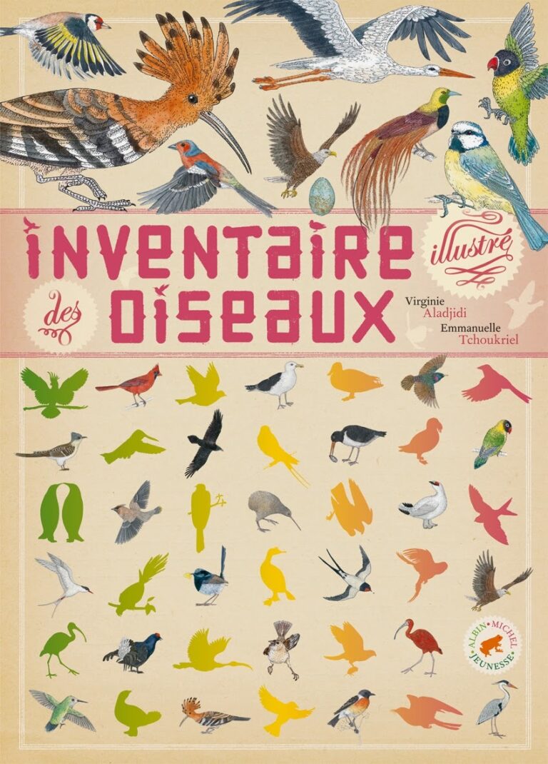 4 livres sur les oiseaux pour les enfants - Une histoire de plumes